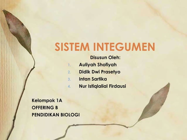 Sistem integumen manusia | PPTX