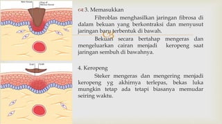 SISTEM INTEGUMEN KELOMPOK 2.pptx