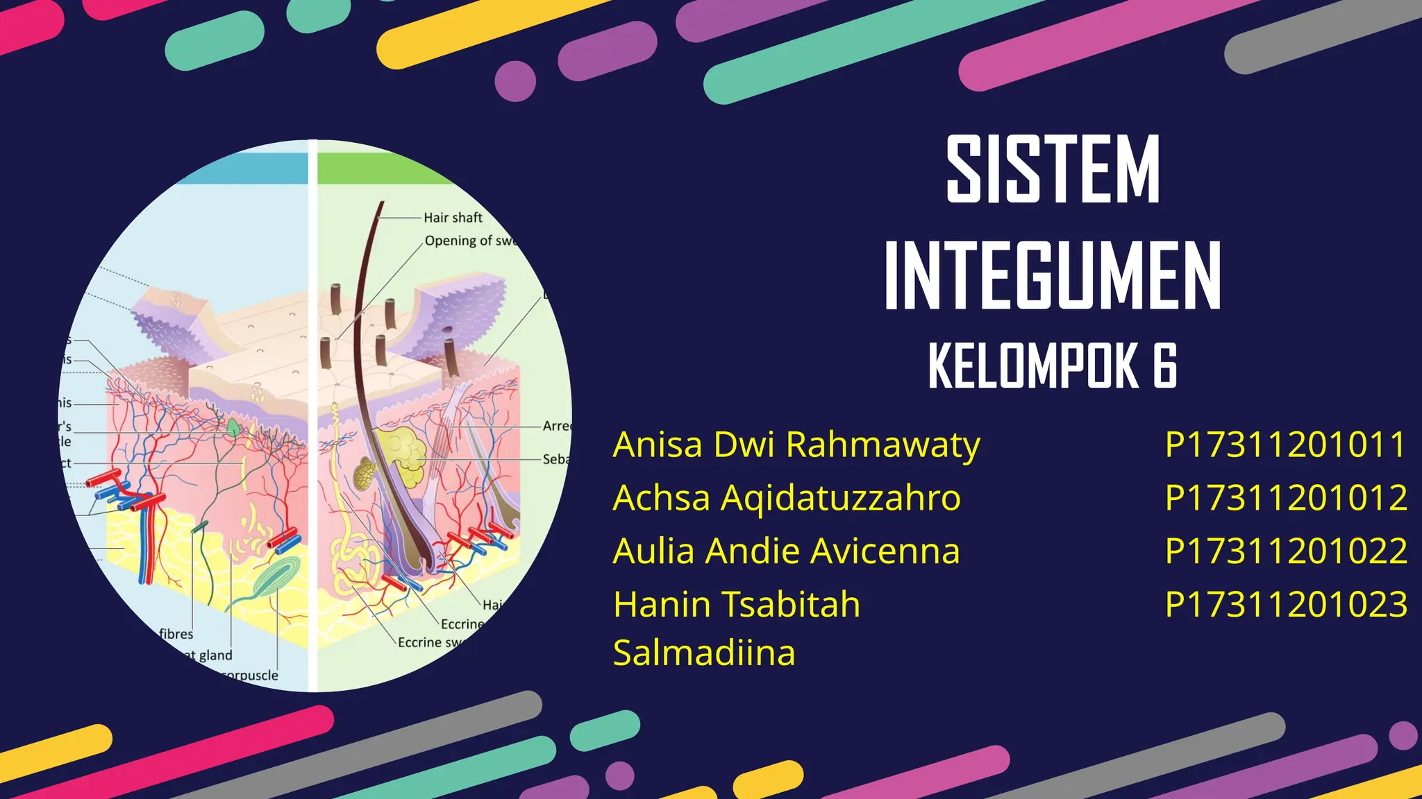 "SISTEM INTEGUMEN"_NEONATUS_BAGIAN 1.pptx