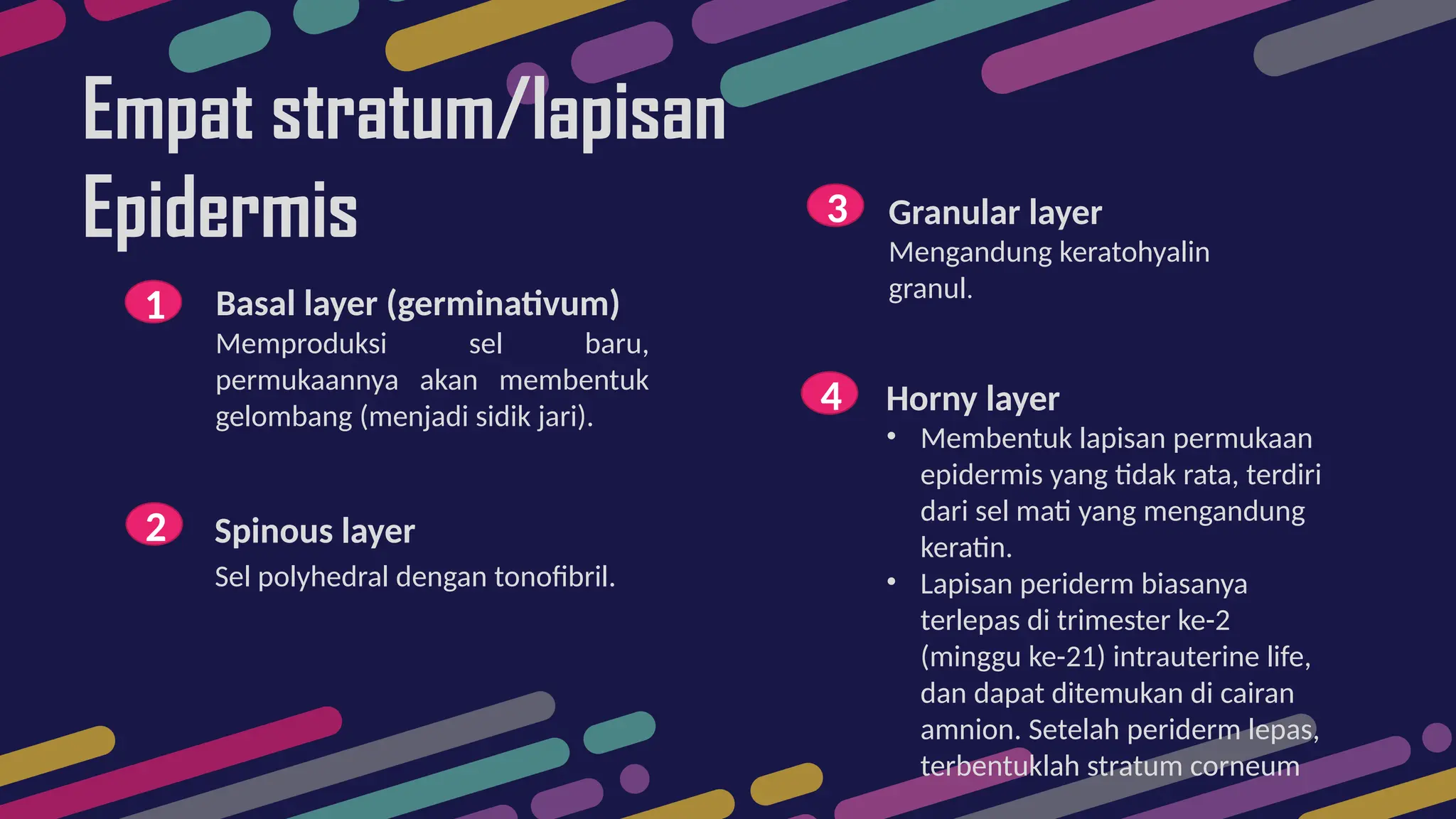 "SISTEM INTEGUMEN"_NEONATUS_BAGIAN 1.pptx