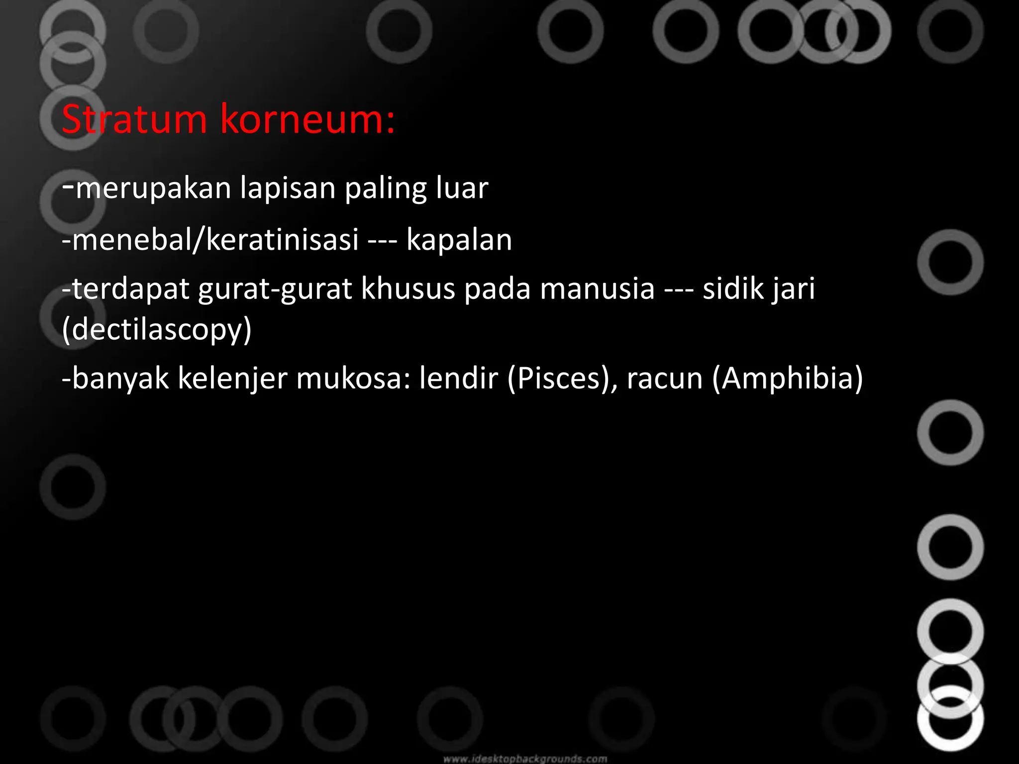 sistem integumen ppt.ppt