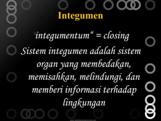 sistem integumen ppt.ppt