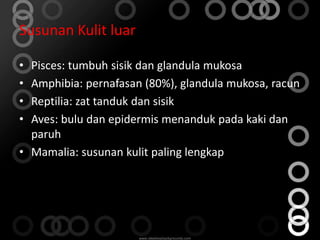 sistem integumen ppt.ppt