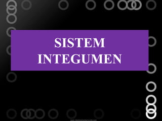 Sistem Integuman mk struktur hewan Pend. Biologi | PPT