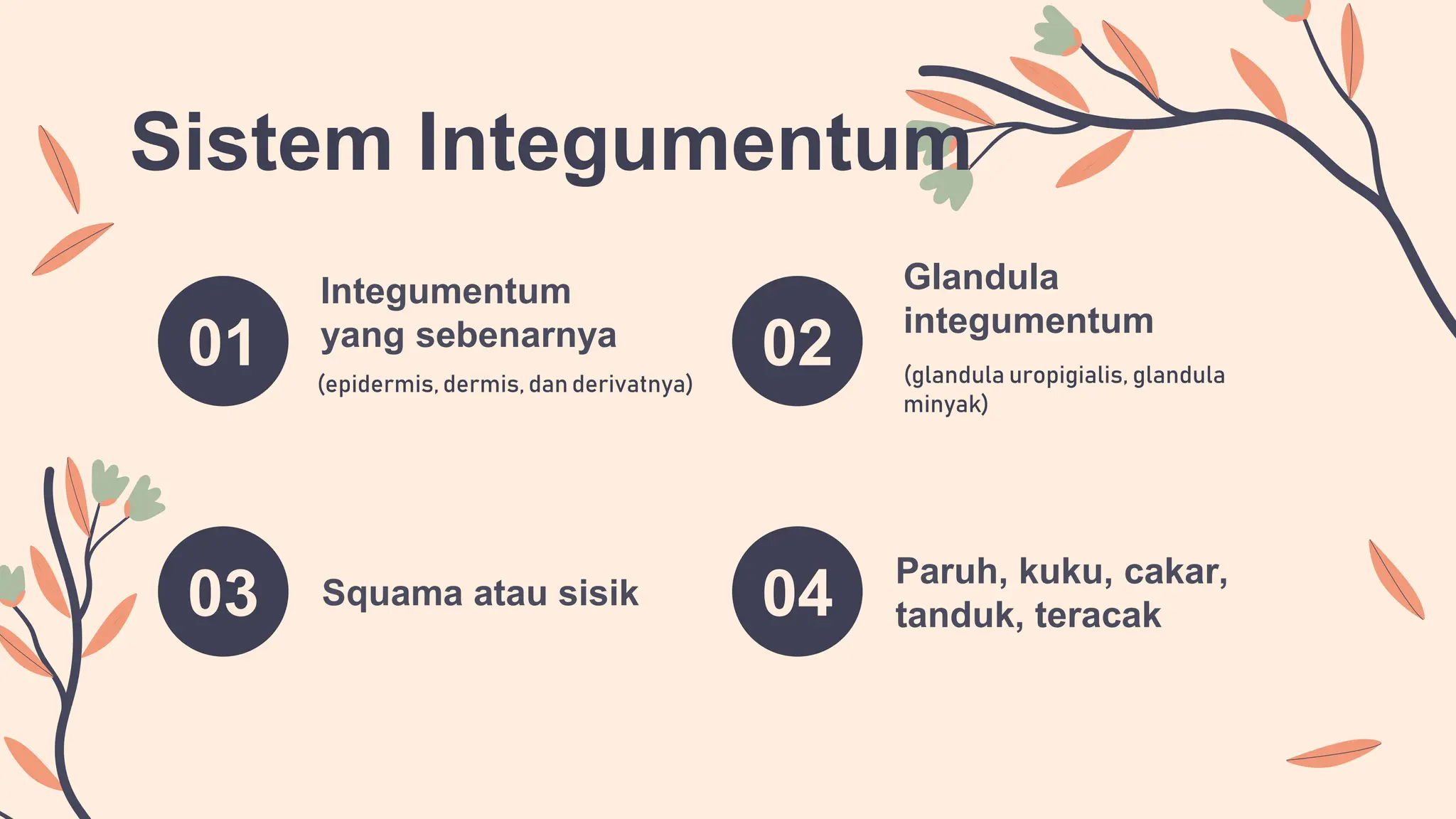 SISTEM INTEGUMENTUM edited.pptx