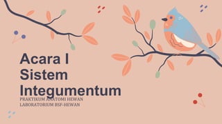 SISTEM INTEGUMENTUM edited.pptx
