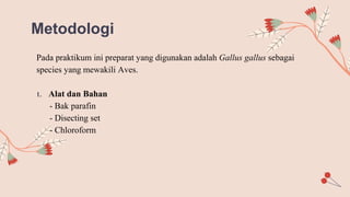 SISTEM INTEGUMENTUM edited.pptx