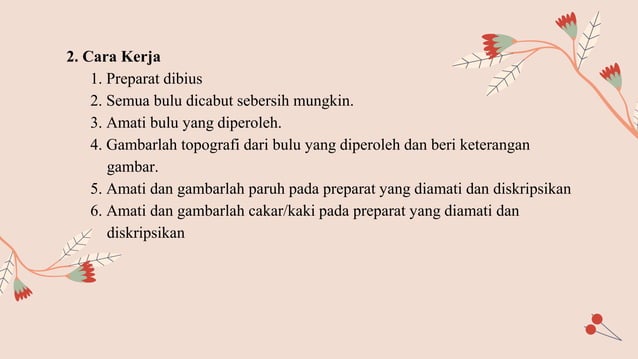 SISTEM INTEGUMENTUM edited.pptx