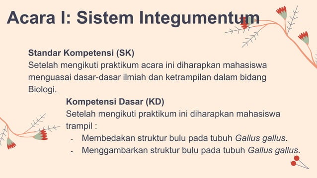 SISTEM INTEGUMENTUM edited.pptx