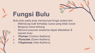 SISTEM INTEGUMENTUM edited.pptx