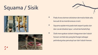 SISTEM INTEGUMENTUM edited.pptx