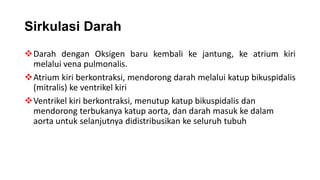 Sistem jantung dan pembuluh darah | PPTX