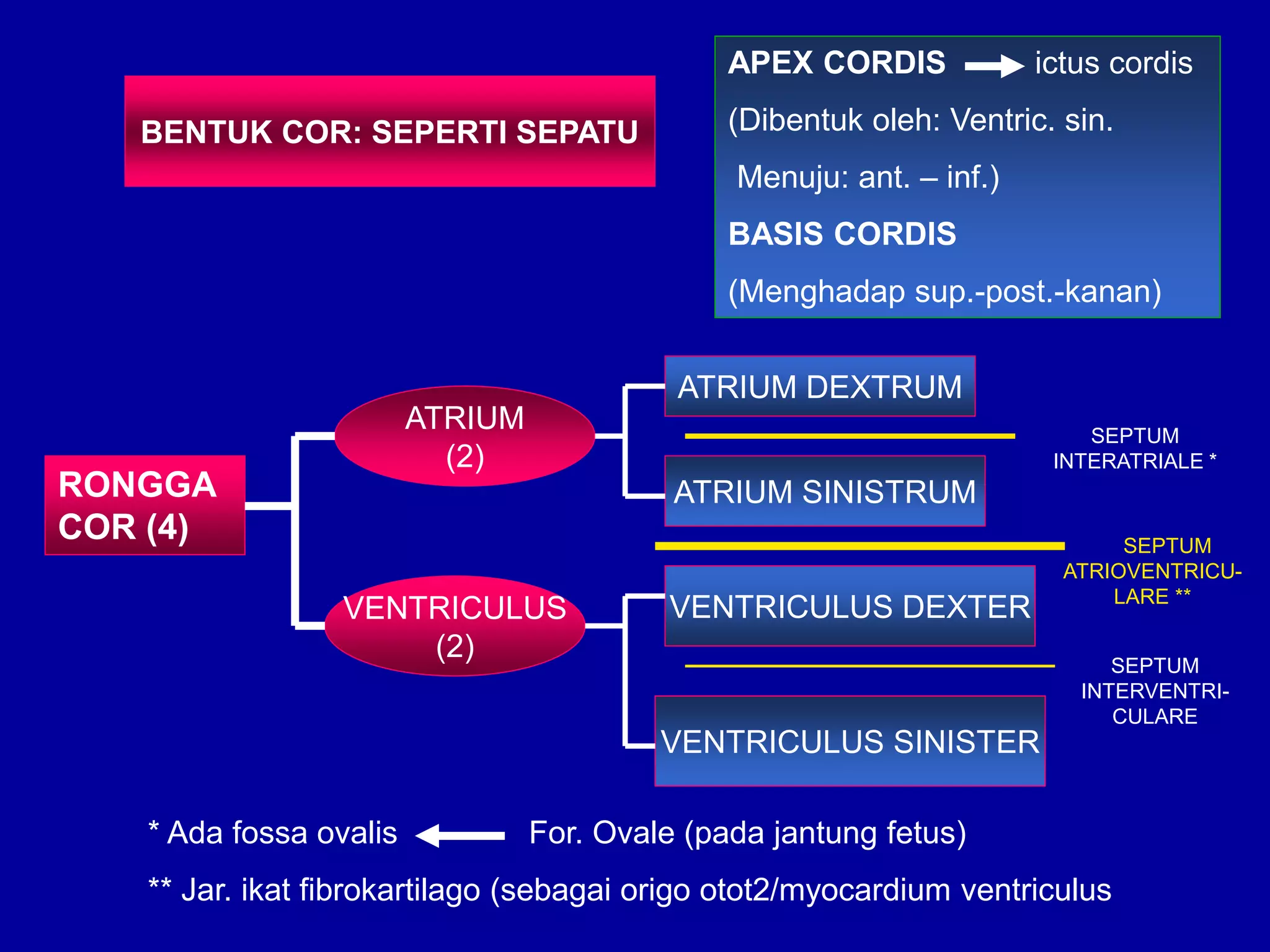 Sistem kardiovaskular | PPTX