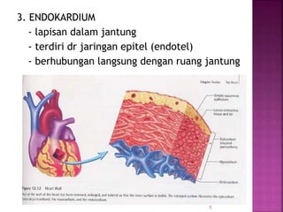 Sistem kardiovaskular | PPTX