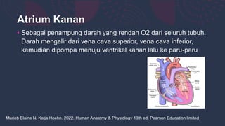 Sistem Kardiovaskular.pptx