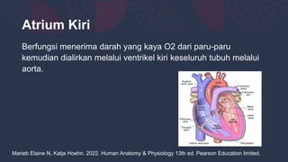 Sistem Kardiovaskular.pptx