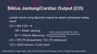 Sistem Kardiovaskular.pptx