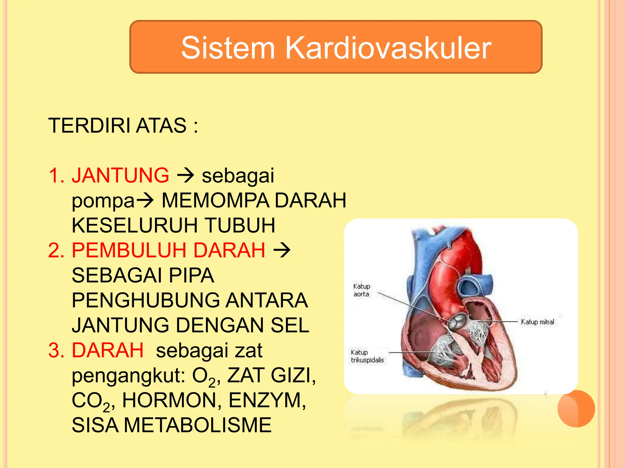 Sistem Kardiovaskular ----------Pert 5.ppt