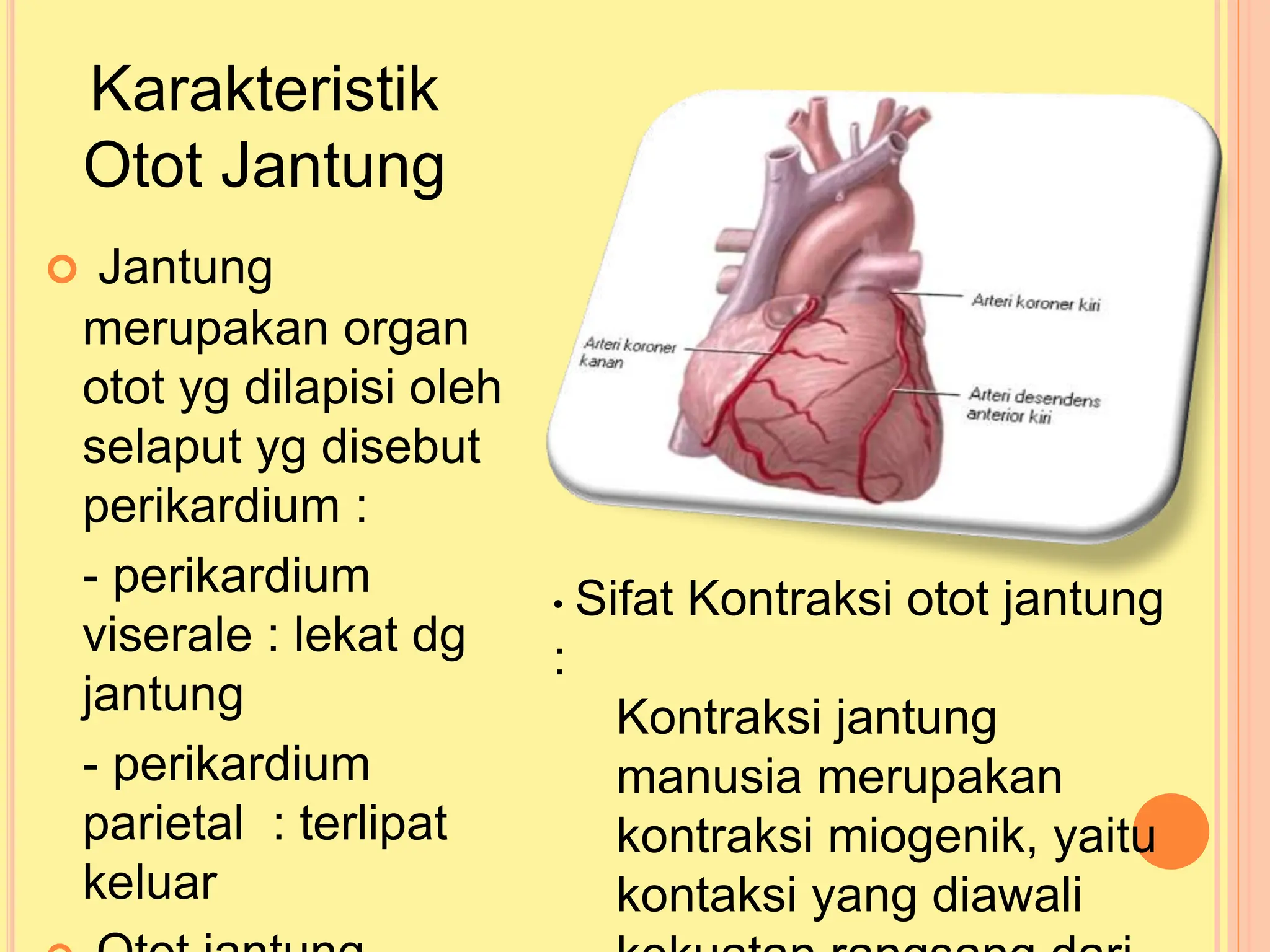 Sistem Kardiovaskular ----------Pert 5.ppt