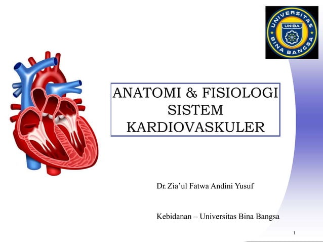 KARDIOVASKULER | PPT