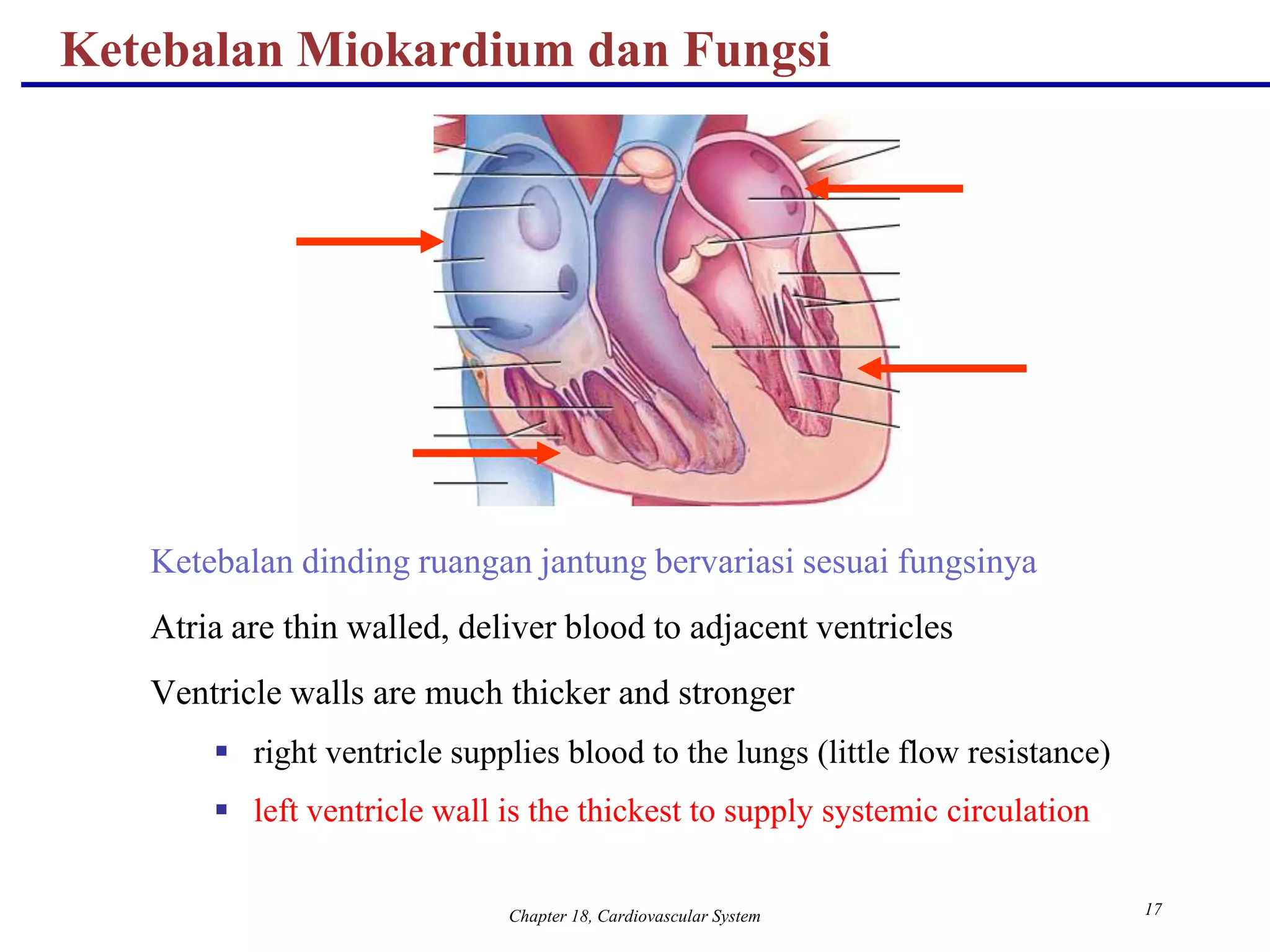 Sistem kardiovaskuler | PPTX