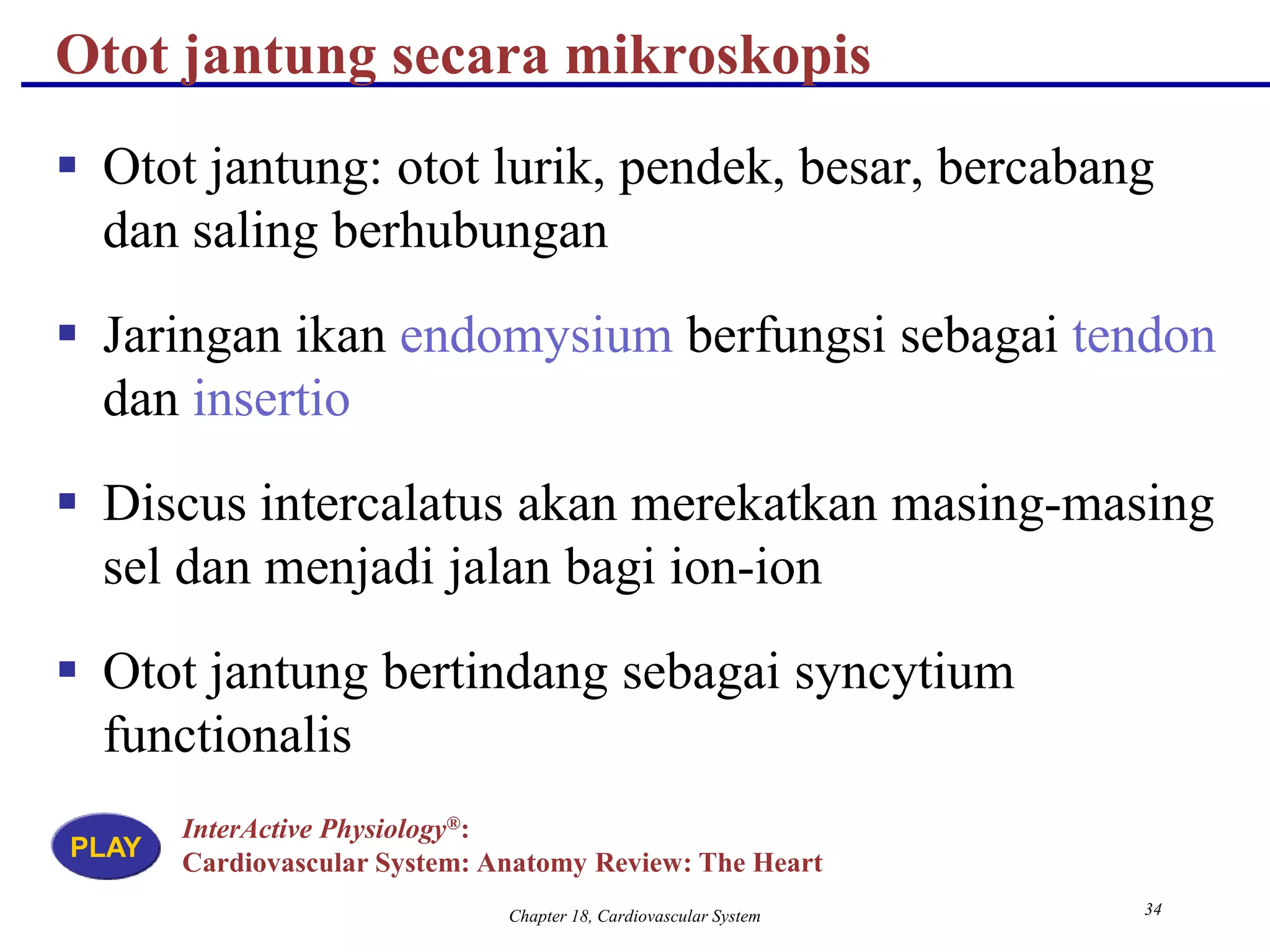 Sistem kardiovaskuler | PPTX