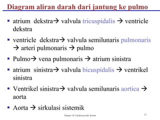 Sistem kardiovaskuler | PPTX