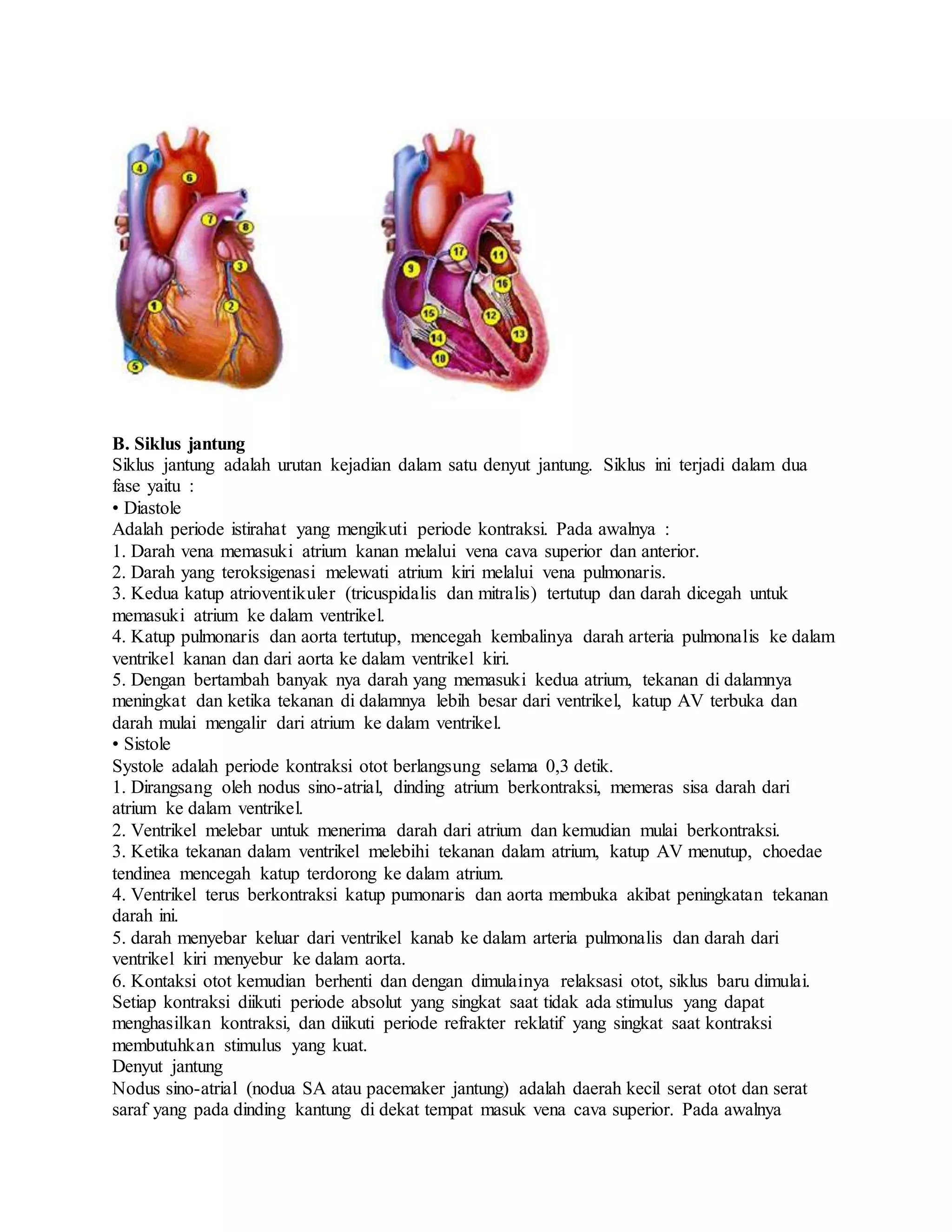 Sistem kardiovaskuler | DOCX