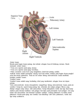 Sistem kardiovaskuler | PDF