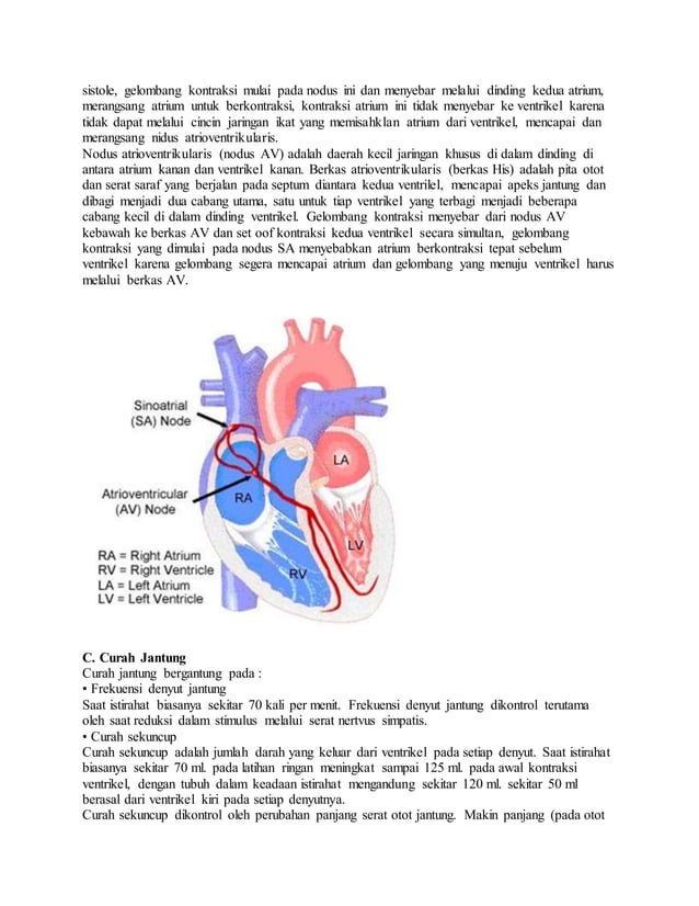 Sistem kardiovaskuler | PDF