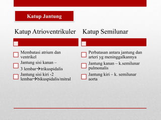 Sistem Kardiovaskuler | PPT