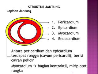 sistem kardiovaskuler.pptx