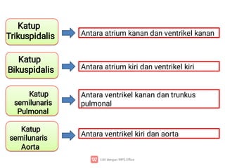 anatomi fisiologi Sistem Kardiovaskuler. | PPT