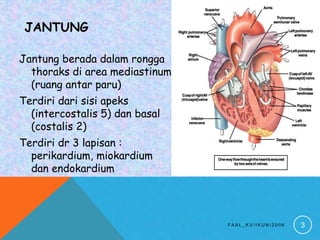 Sistem kardiovaskuler 04 | PPT