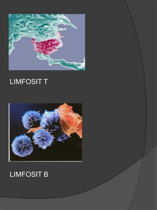 Sistem kekebalan tubuh | PPTX