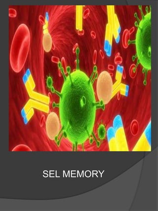 Sistem kekebalan tubuh | PPTX