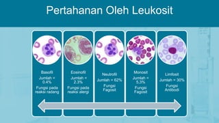 Sistem kekebalan tubuh | PPTX