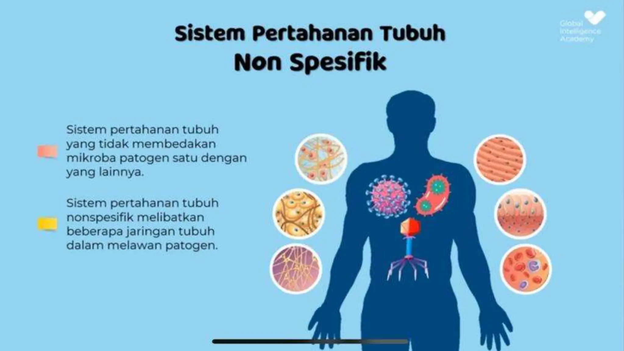 SISTEM KEKEBALAN TUBUH (IMUNITAS) BIOKIM KELAS 11 | PPTX