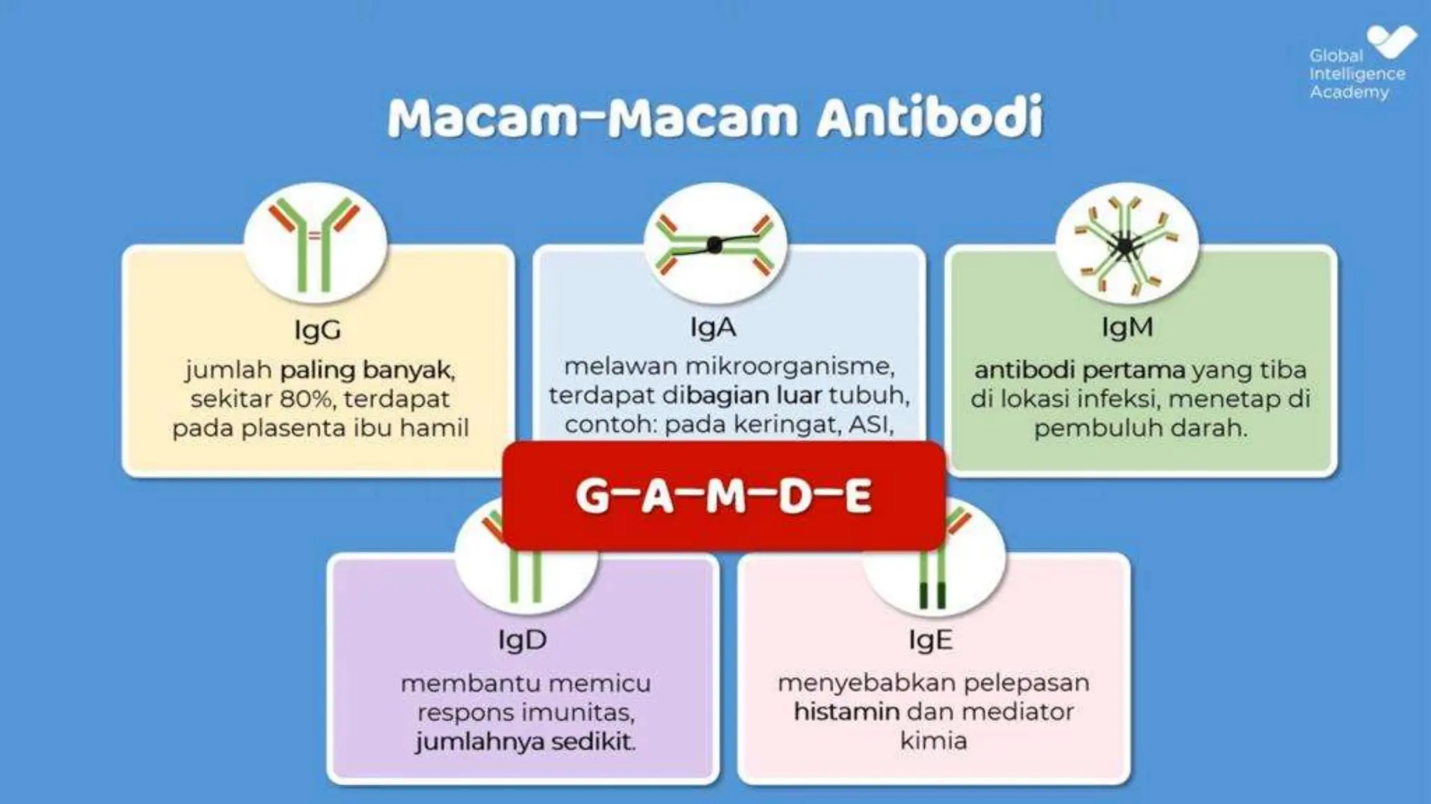 SISTEM KEKEBALAN TUBUH (IMUNITAS) BIOKIM KELAS 11 | PPTX