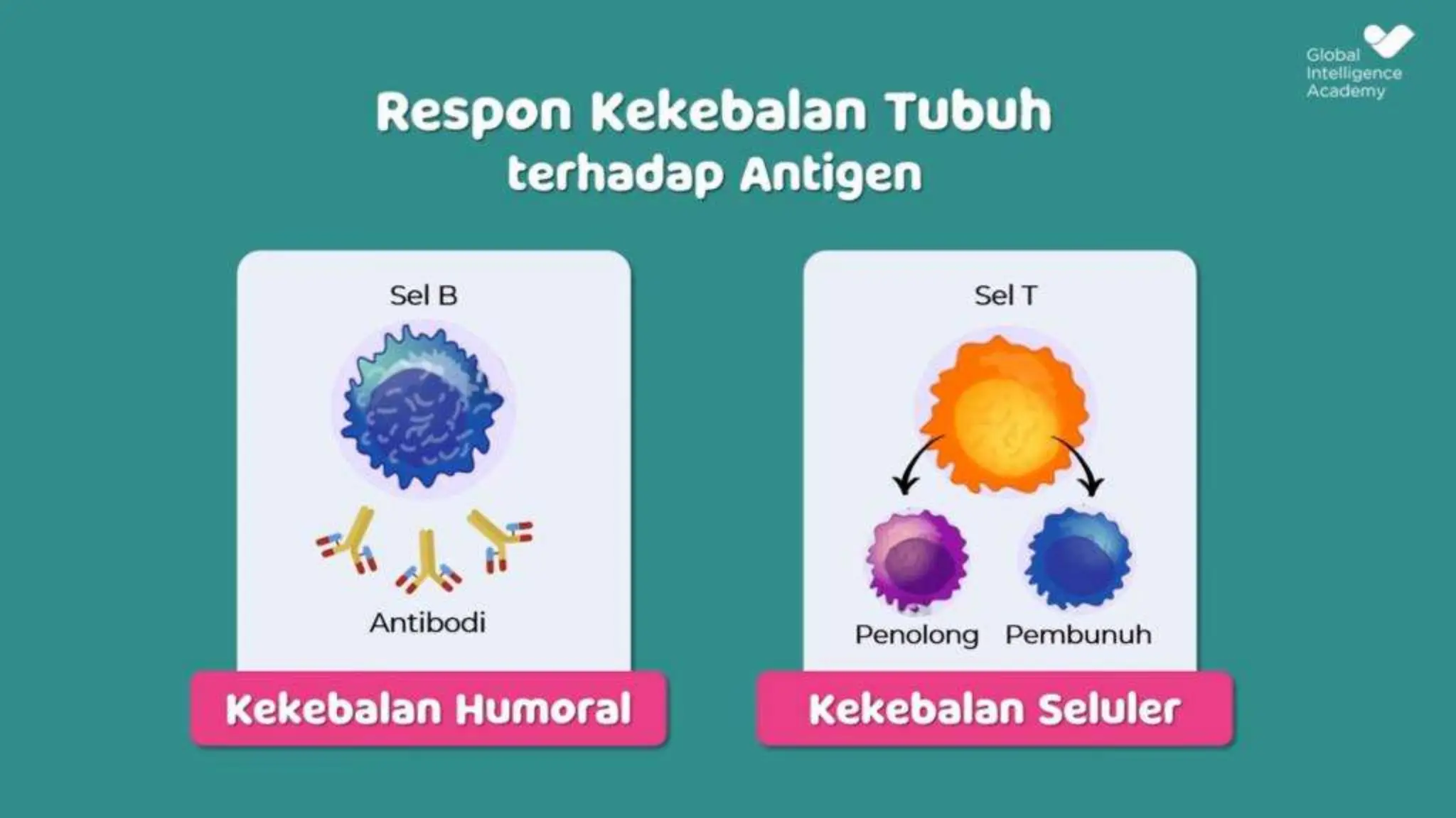 SISTEM KEKEBALAN TUBUH (IMUNITAS) BIOKIM KELAS 11 | PPTX