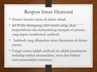 Sistem Kekebalan pada Tubuh Manusia , imunologi | PPTX