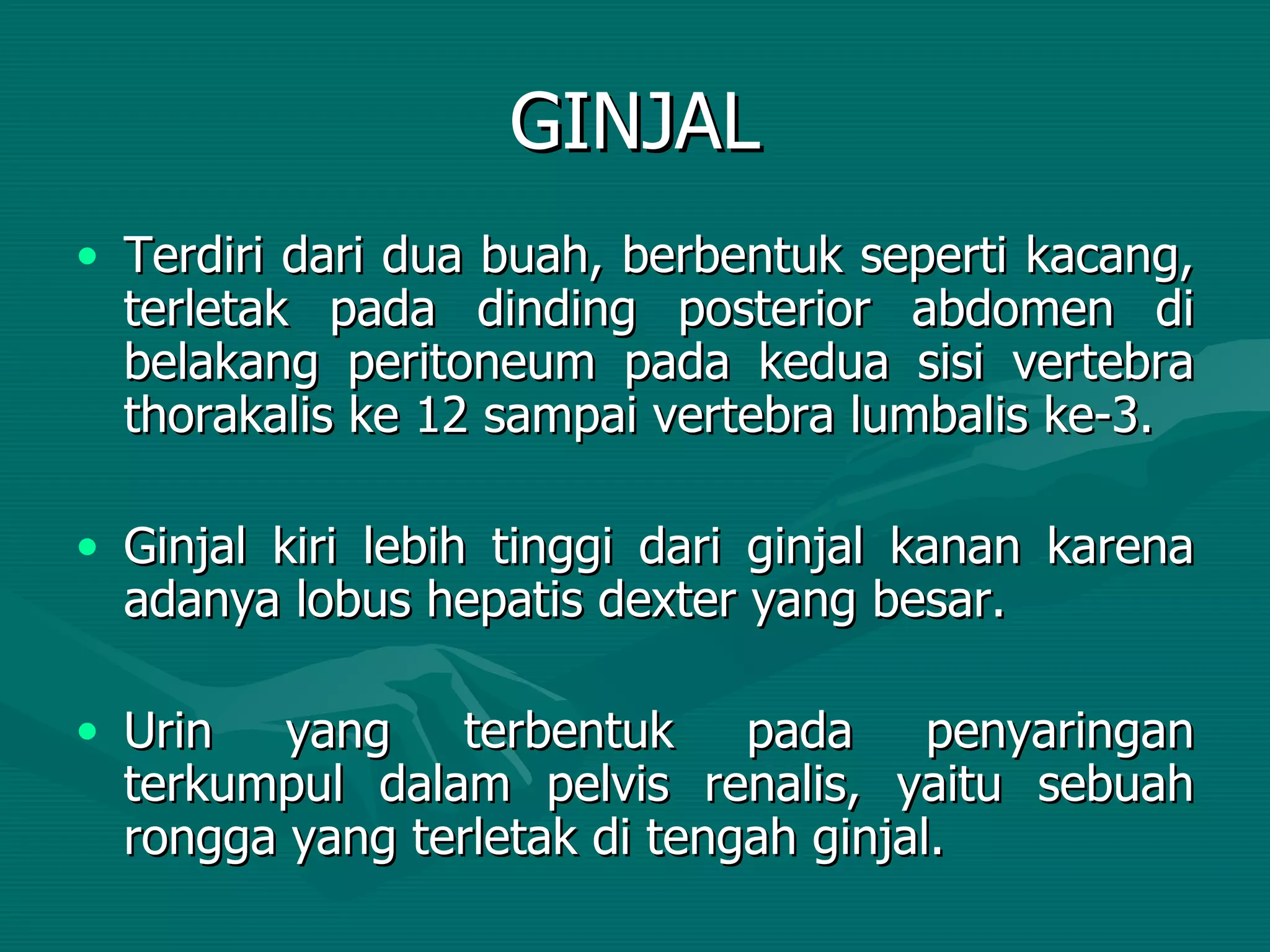 Sistem+kemih | PPT