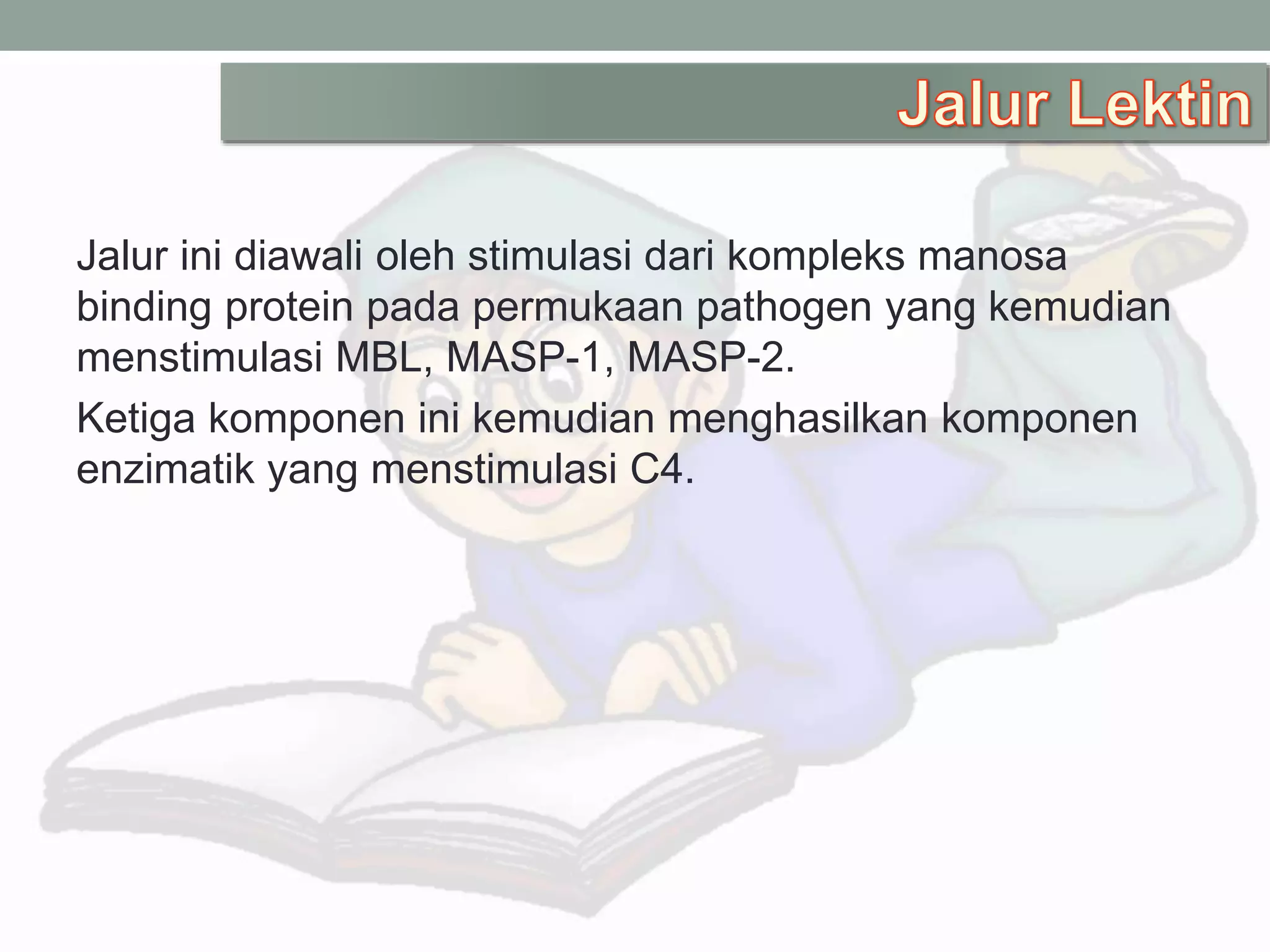 Sistem komplemen | PPTX