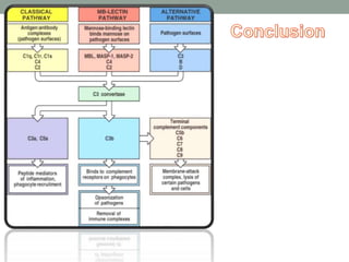 Sistem komplemen | PPTX