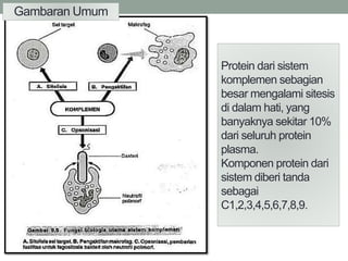 Sistem komplemen | PPTX