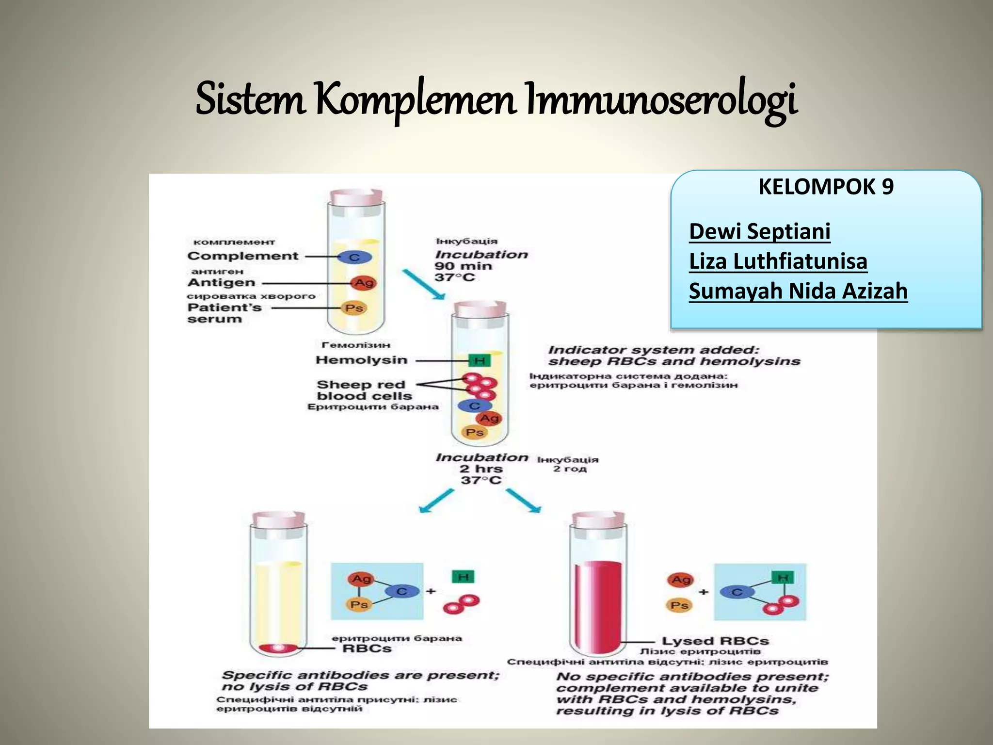Sistem komplemen immunologi | PPTX
