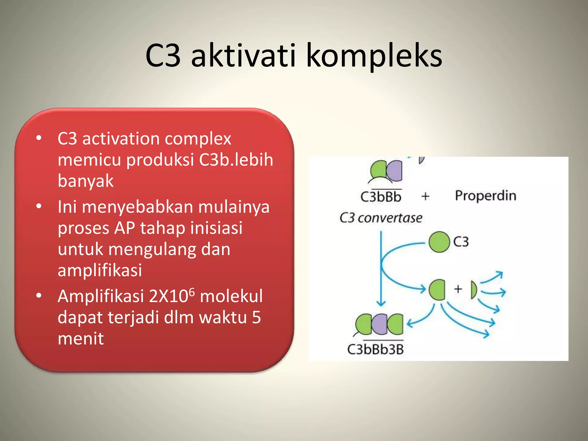 Sistem komplemen immunologi | PPTX