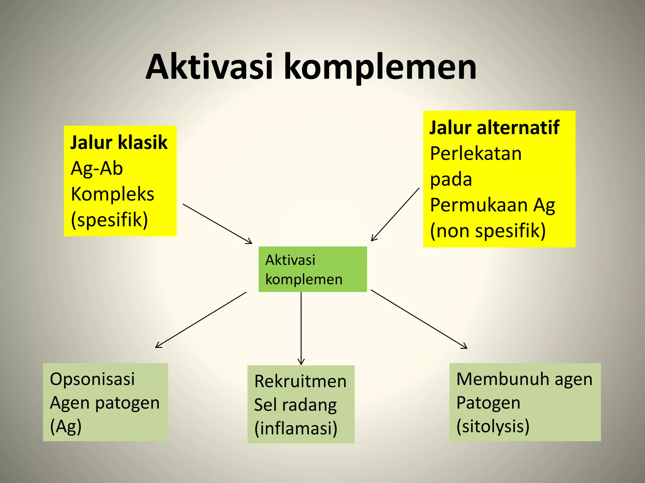 Sistem komplemen immunologi | PPTX