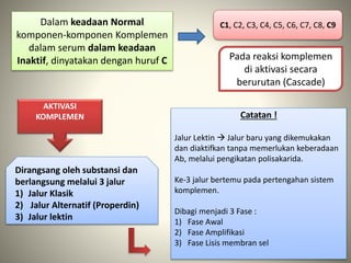 Sistem komplemen immunologi | PPTX