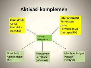 Sistem komplemen immunologi | PPTX